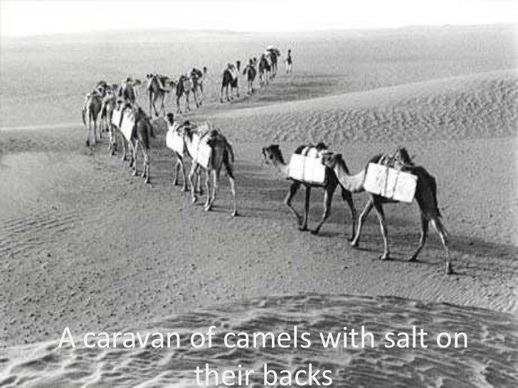 The Ancient Civilization of Mali