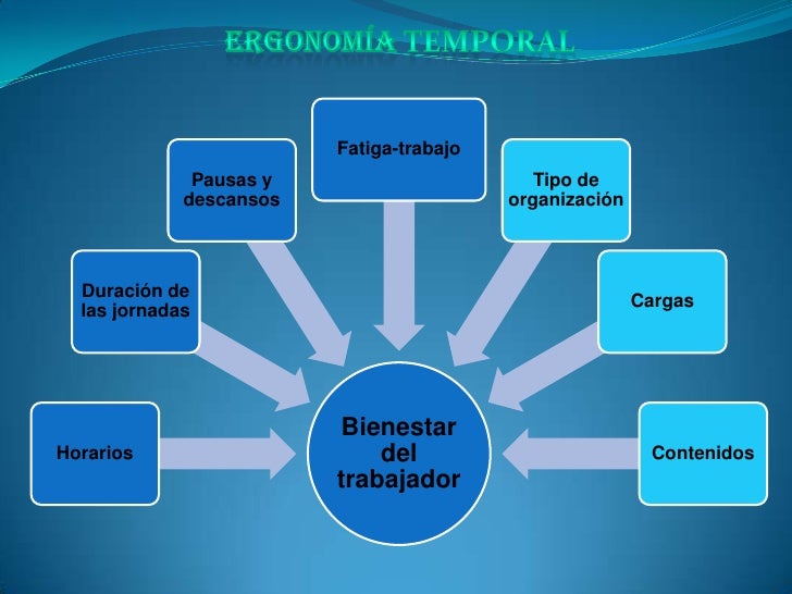 Tipos De La Ergonomia