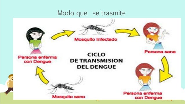 El Aedes Aegypti