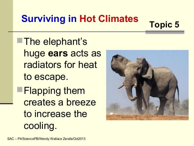 Science - Topic 05: How animals respond to heat and cold