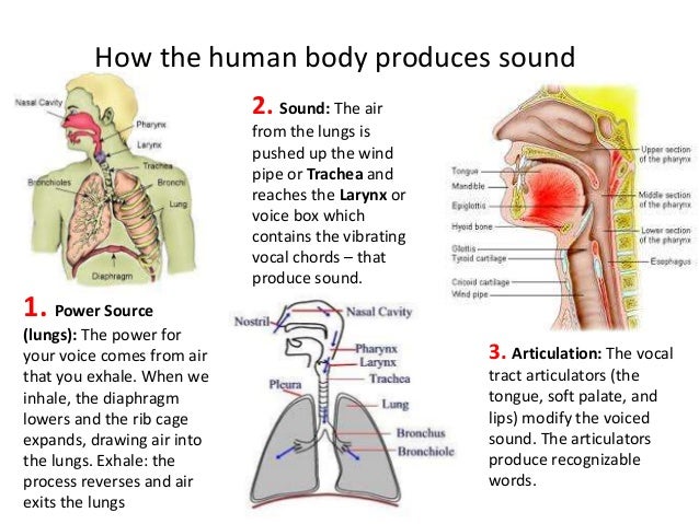 Communication Skills