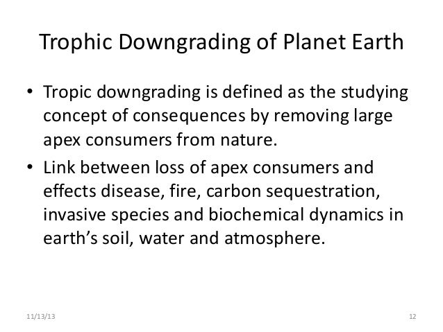 Trophic Downgrading Of Planet Earth