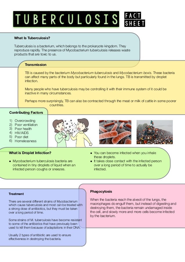 OCR AS Biology Fact Sheets: Tuberculosis OCR AS Biology Fact Sheets: Tuberculosis