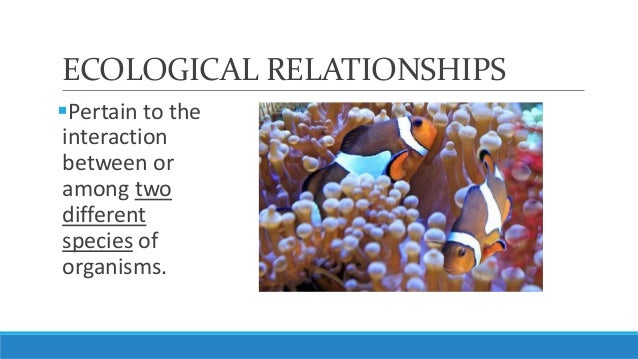Unit 5, Lesson 5.3- Ecological Relationships