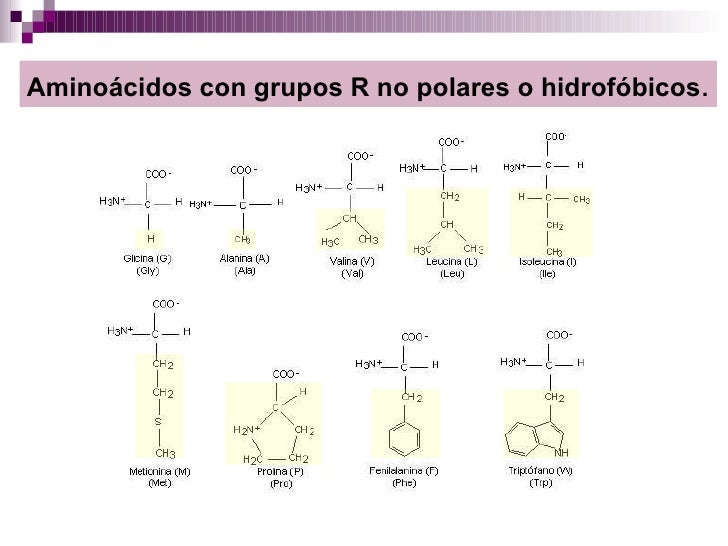 BIOQUIMICA: Los aminoacidos
