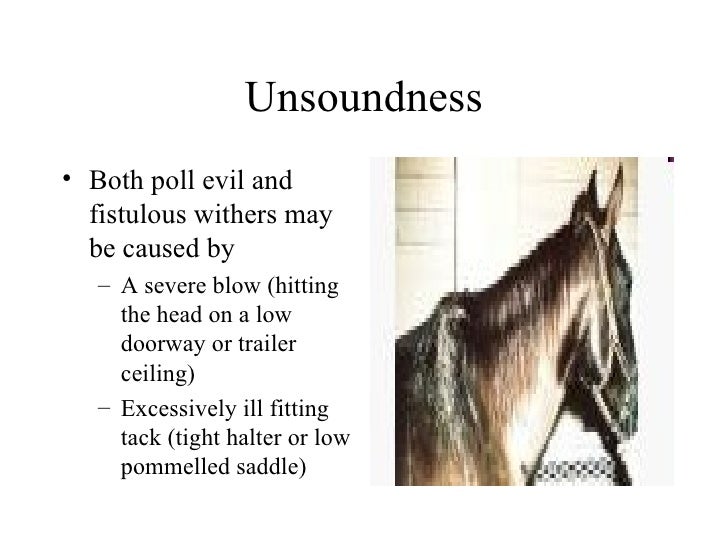 Unsoundnesses