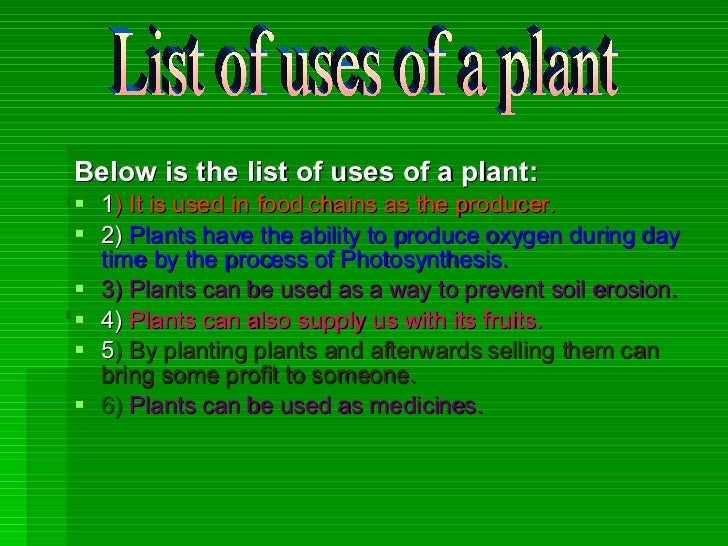Uses Of A Plant