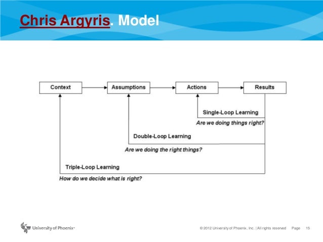 Using Loop Learning in developing Innovative Literature Reviews