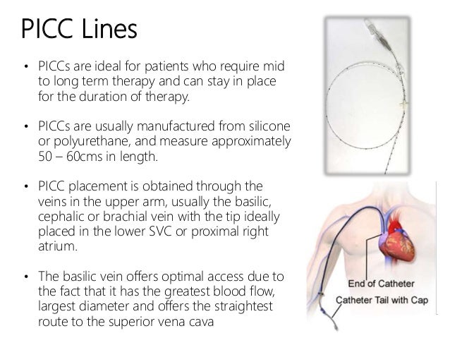 Vascular Access Devices