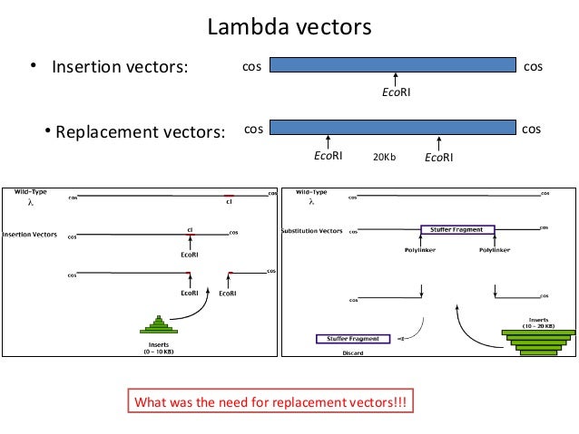 MICROBIAL BIOTECHNOLOGY