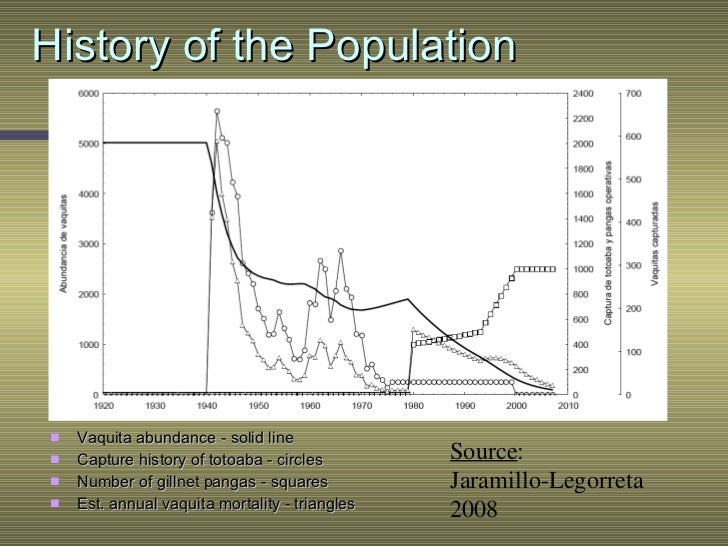 The Race to Save the Vaquita, the World’s Most Endangered Marine Mammal ...