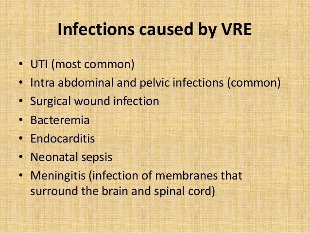 Vancomycin Resistant Enterococci
