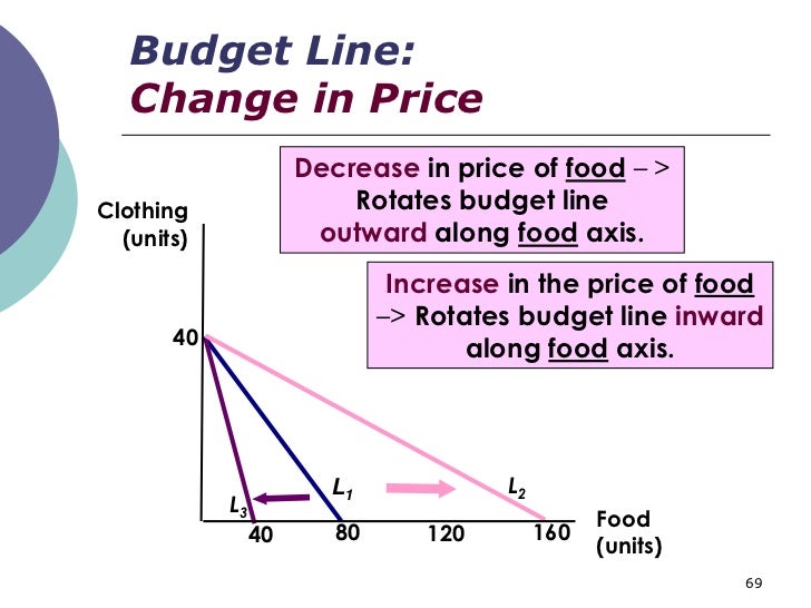 Consumer Behavior | Microeconomics | Expertsmind.com