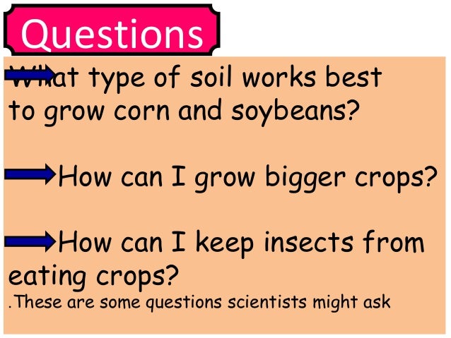 What Questions Do Scientists Ask what-questions-do-scientists-ask