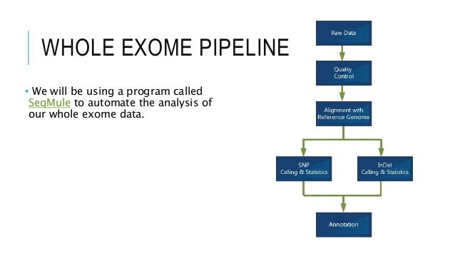 Whole exome sequencing(wes) Whole exome sequencing(wes)