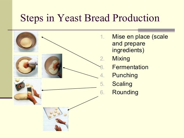 Yeast breads ppt