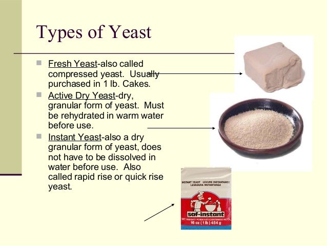 Yeast breads ppt