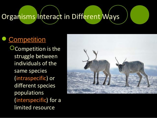 List Of Different Types Of Ecosystem With Example