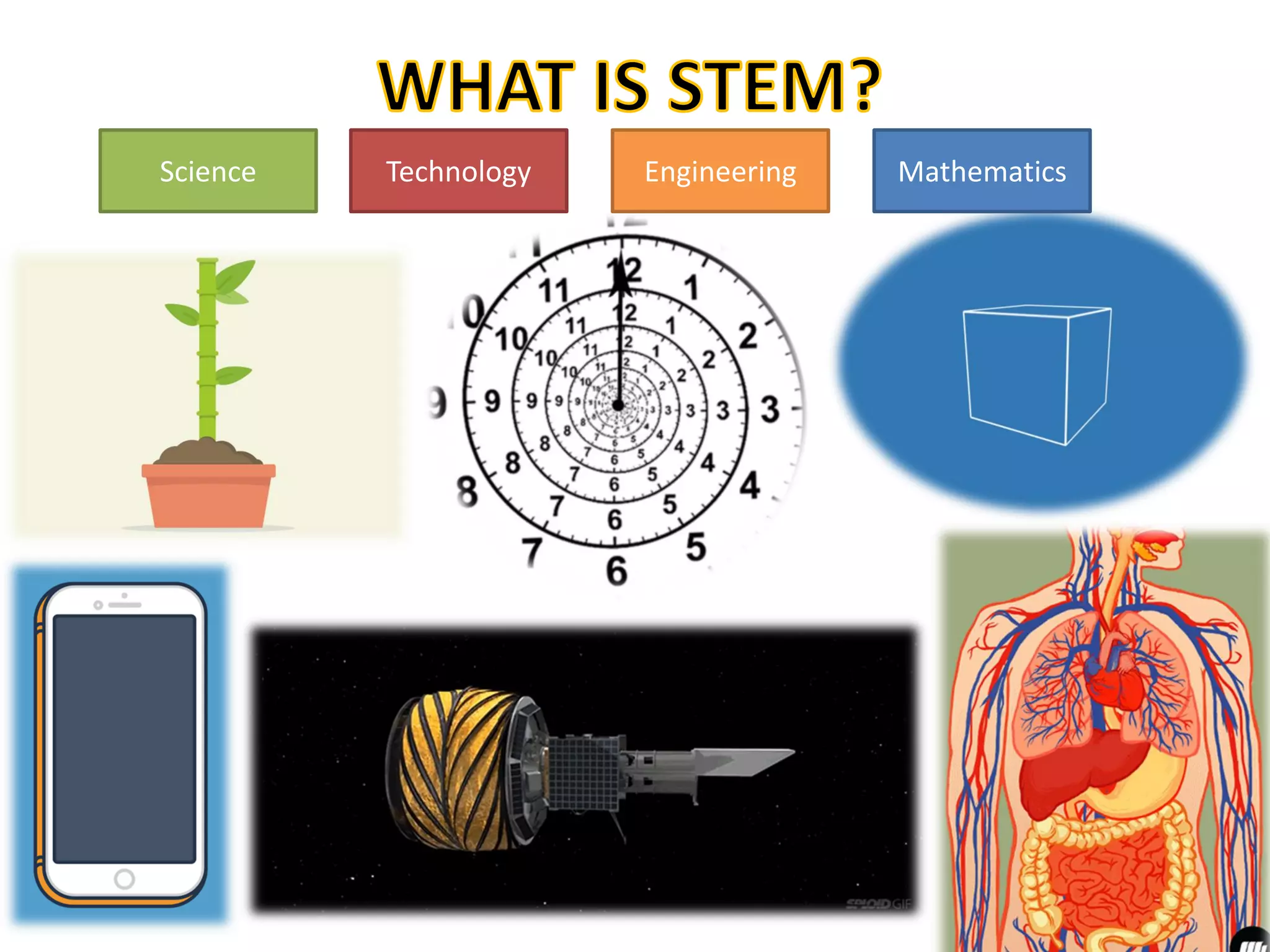 STEM | PPT