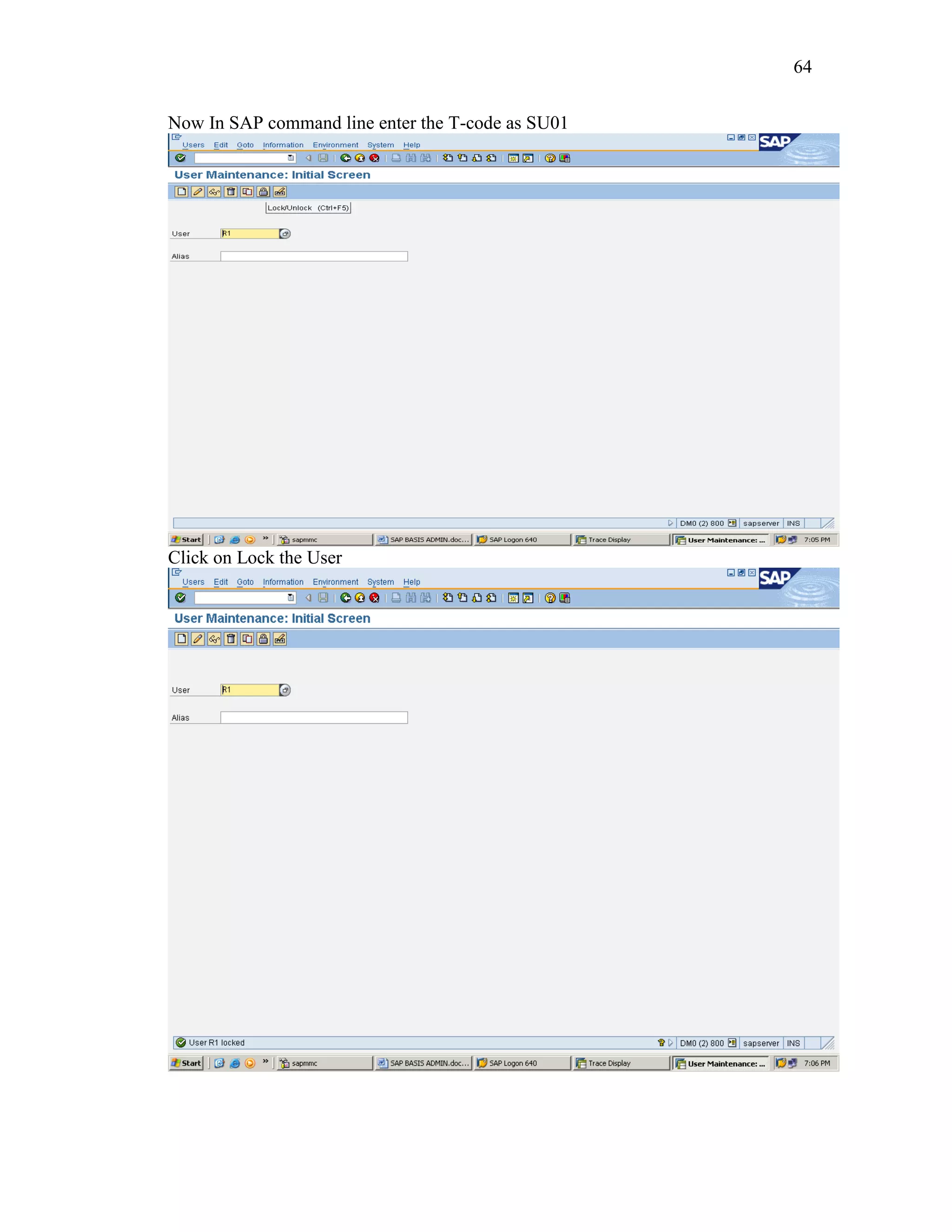 sap basis transaction codes | PDF