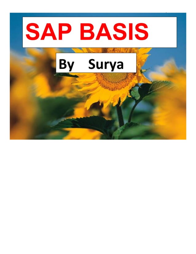 sap basis transaction codes | PDF