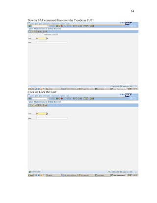 sap basis transaction codes | PDF