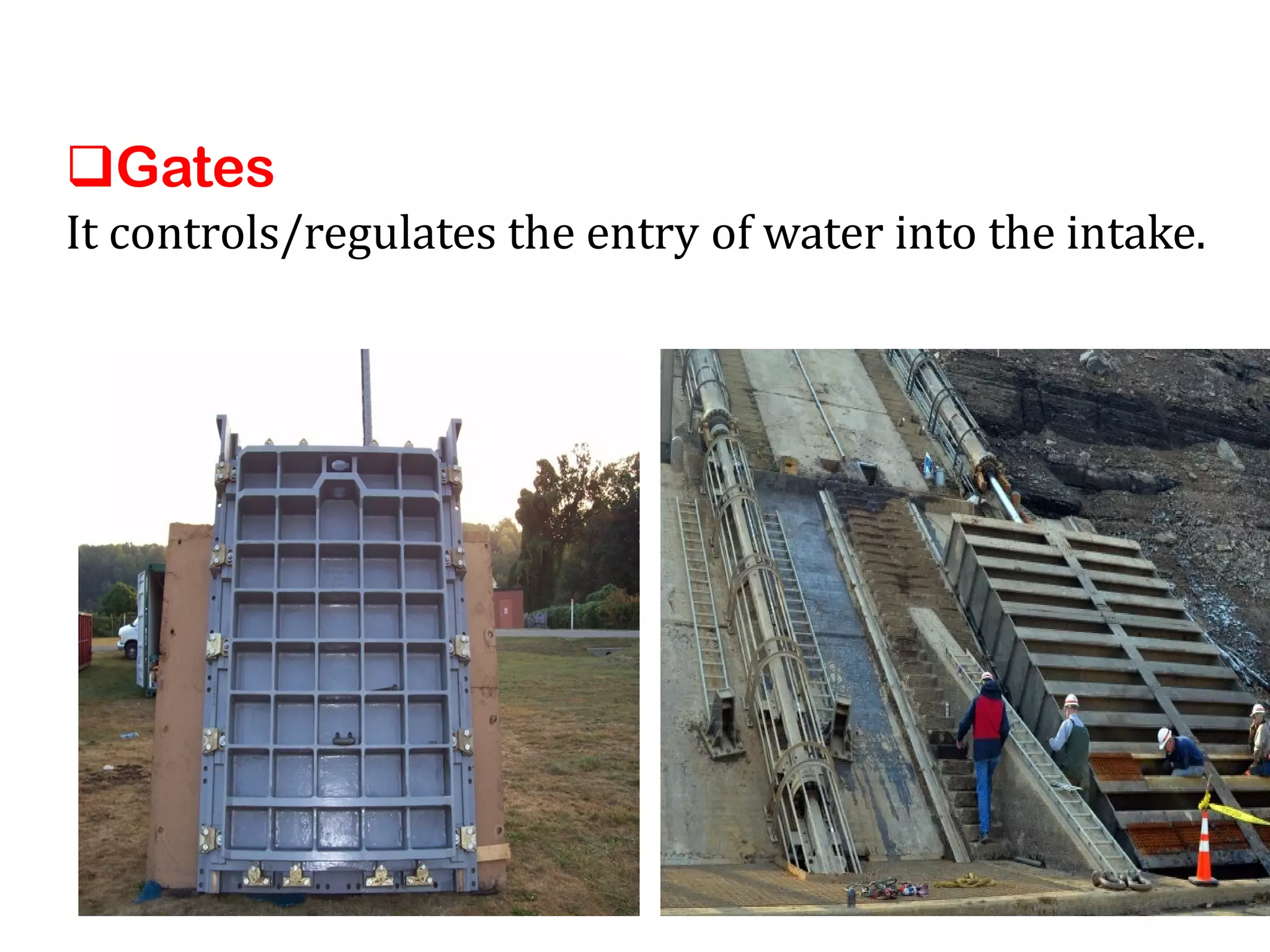 Elements of Water Conductor System | PDF