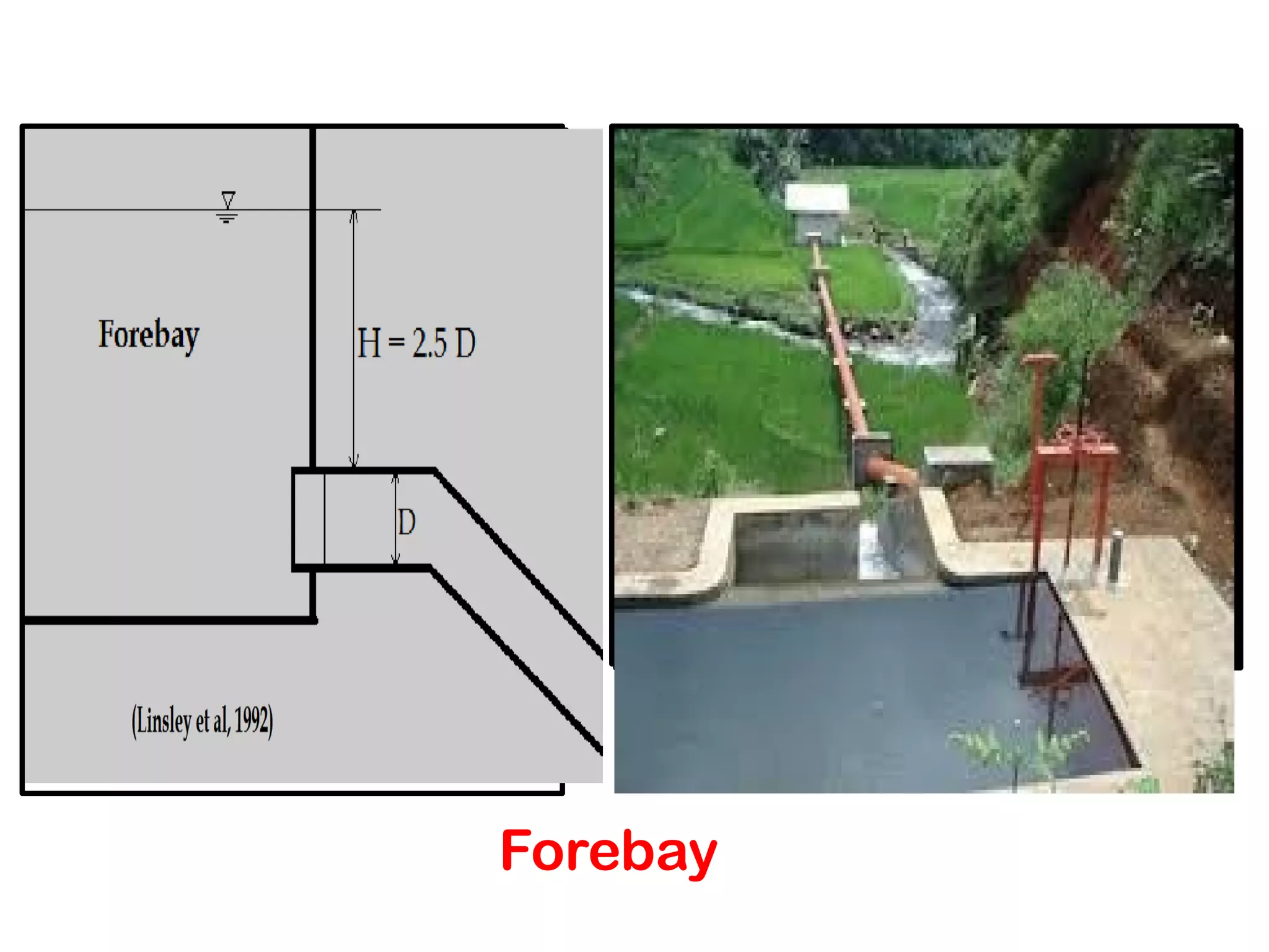 Elements of Water Conductor System | PDF
