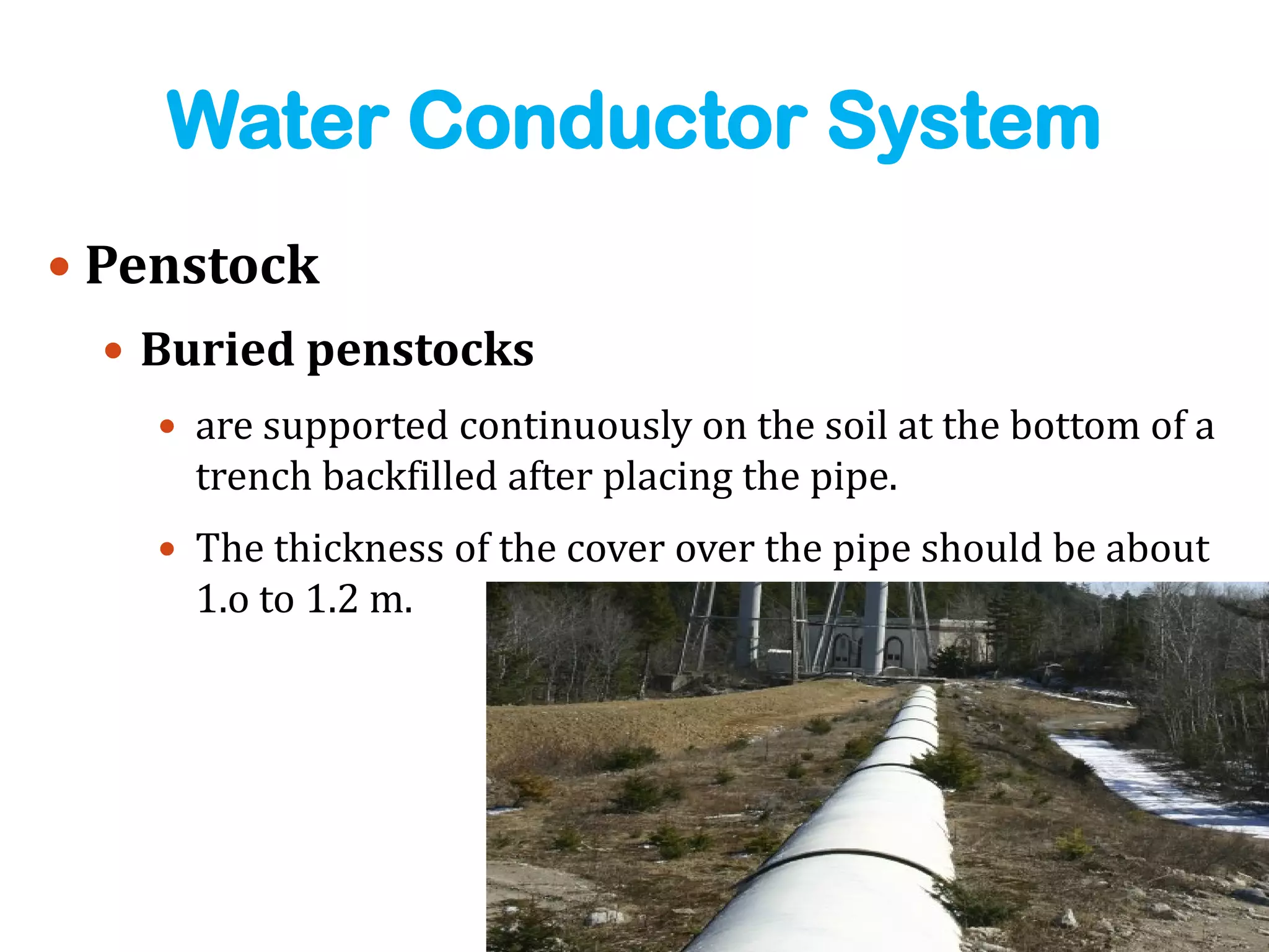 Elements of Water Conductor System | PDF