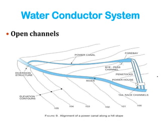 Elements of Water Conductor System | PPT