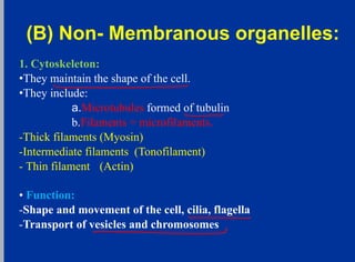 0.intro histology (female notes) | PDF