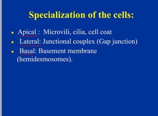 0.intro histology (female notes) | PDF