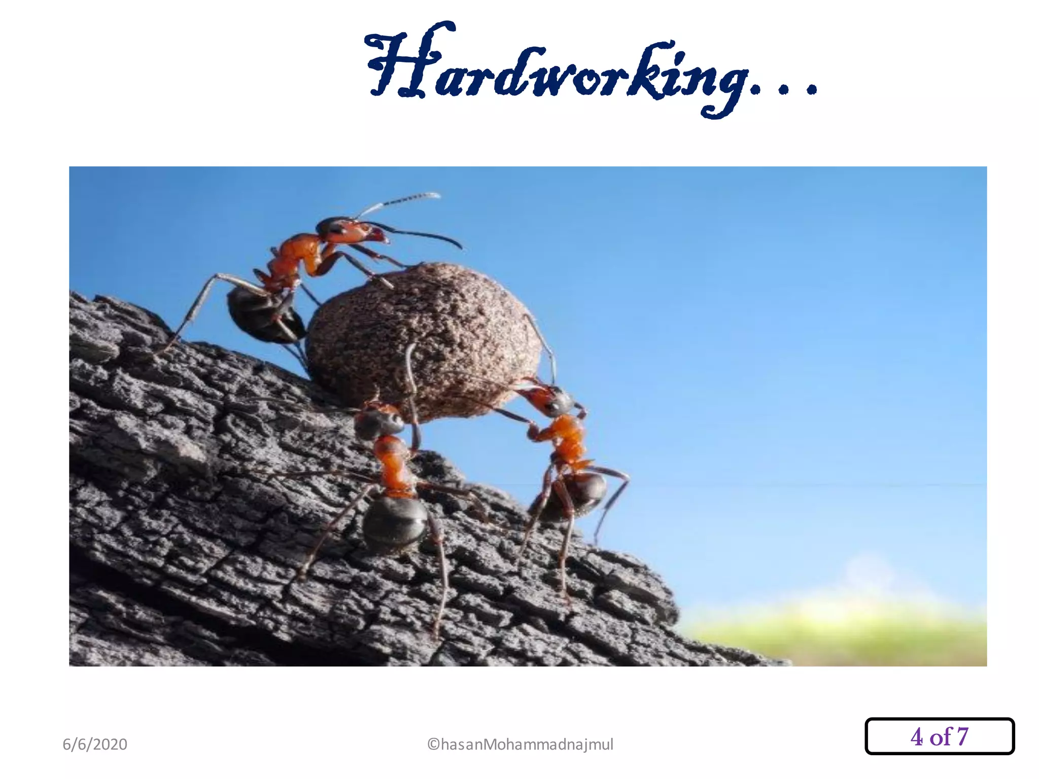 07 Magic Words for a Successful Entrepreneur !! | PPT