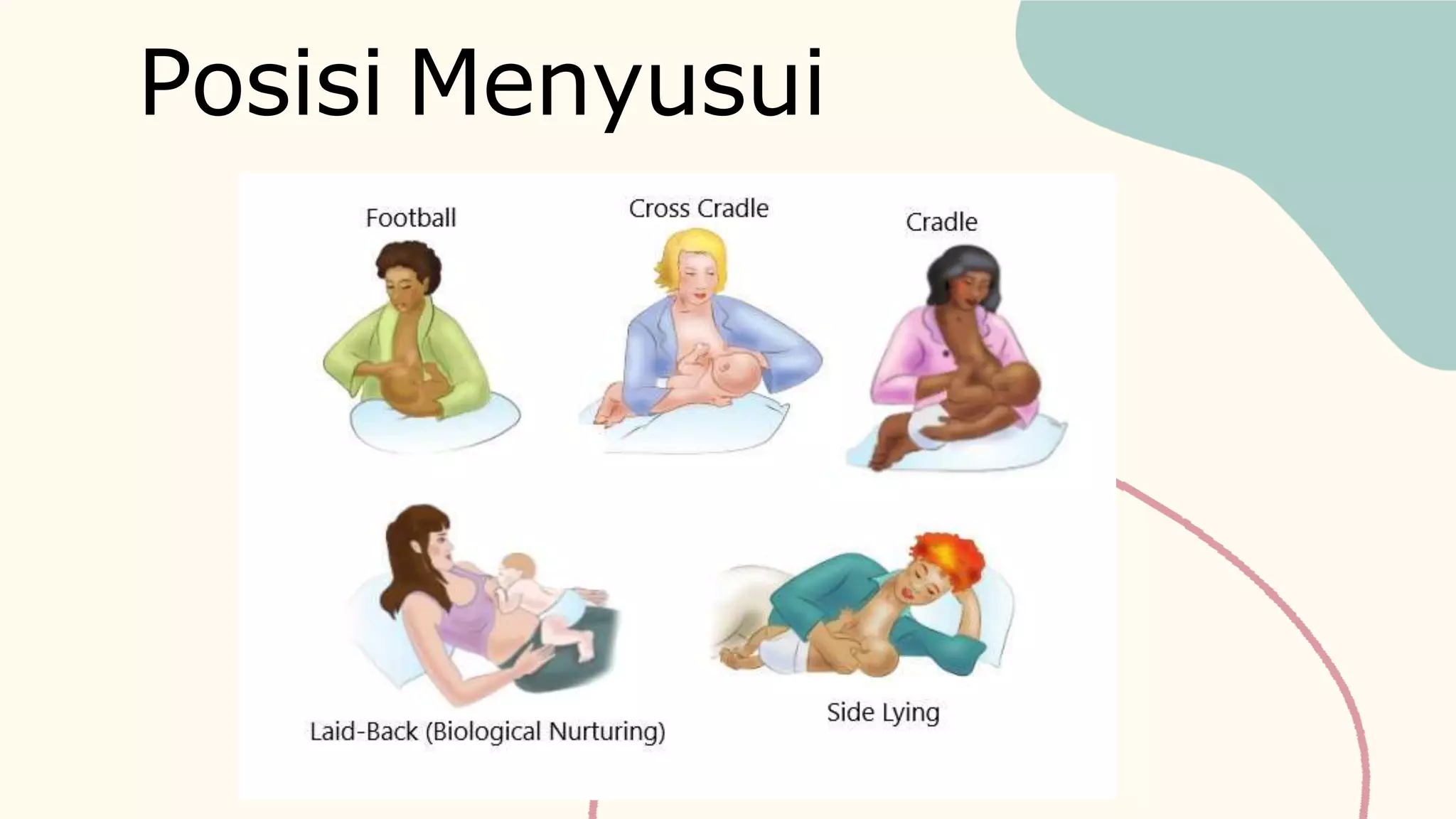 materi dasar menyusui | PPTX