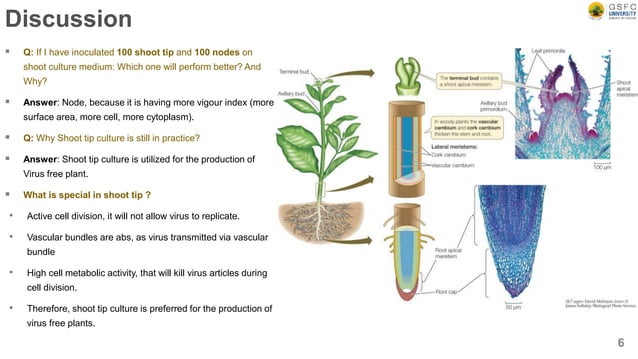 0.1 plant tissue culture step by step guide | PPT