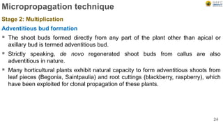 Micropropagation | PPTX