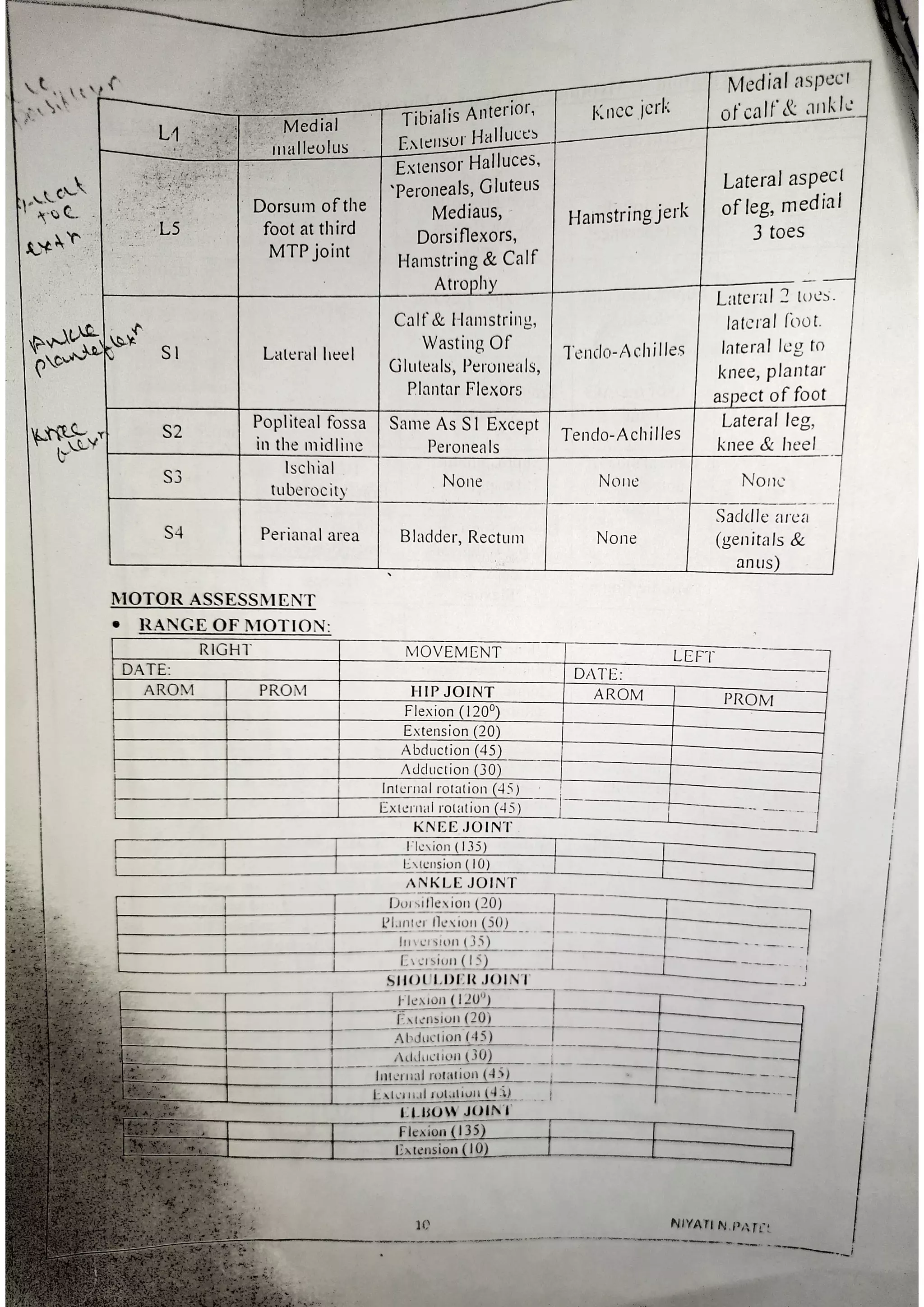 NEURO PHYSIOTHERAPY ASSESSMENT | PDF