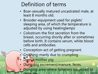 0. Definition of Terms.pptx