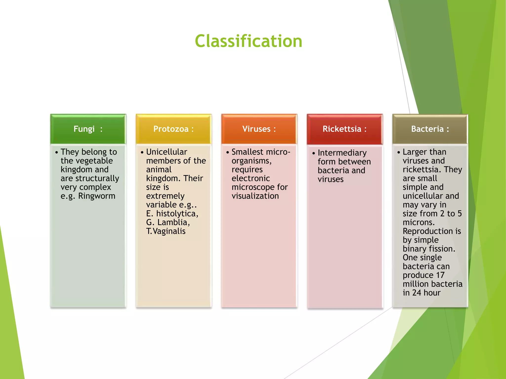 Antibiotics Basics.pptx