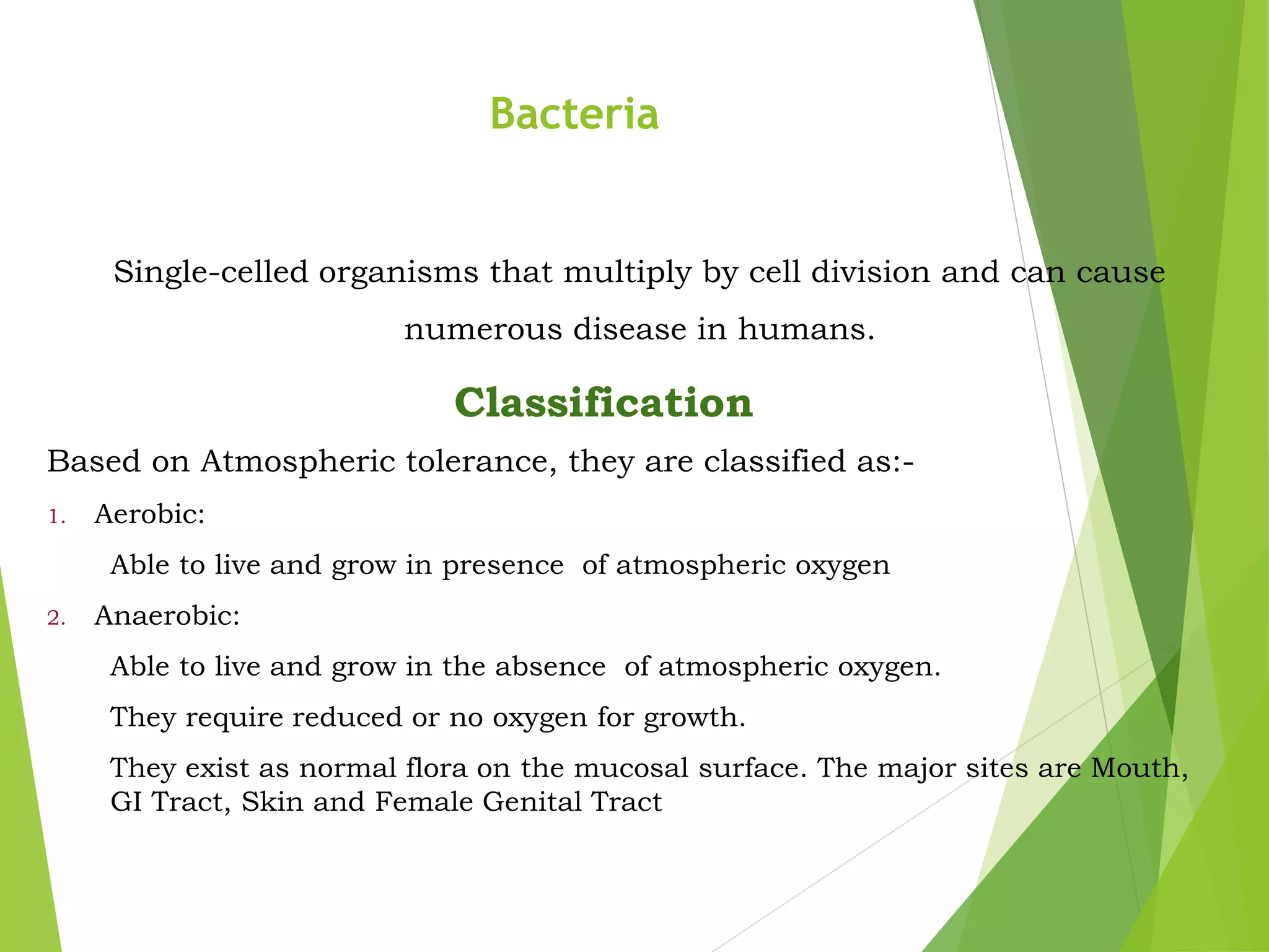 Antibiotics Basics.pptx