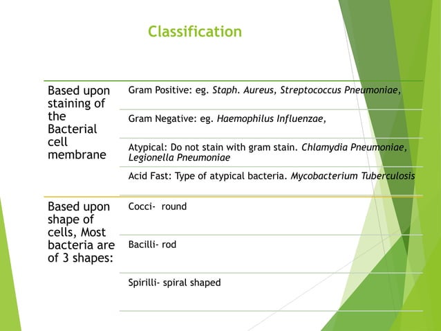Antibiotics Basics.pptx