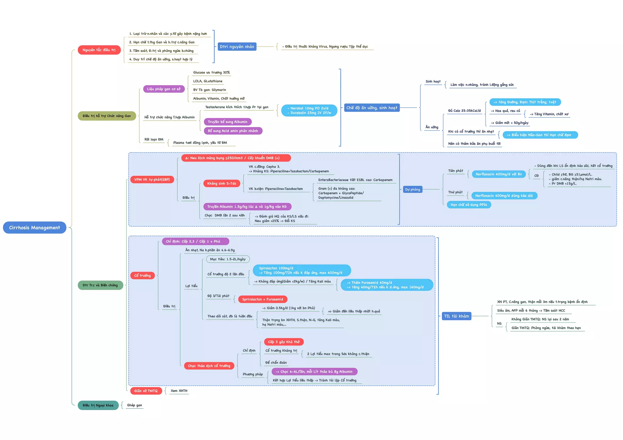 Mindmap Đề cương Nội khoa Y4-Y6 [Tiếng Việt]. | PDF | Free Download