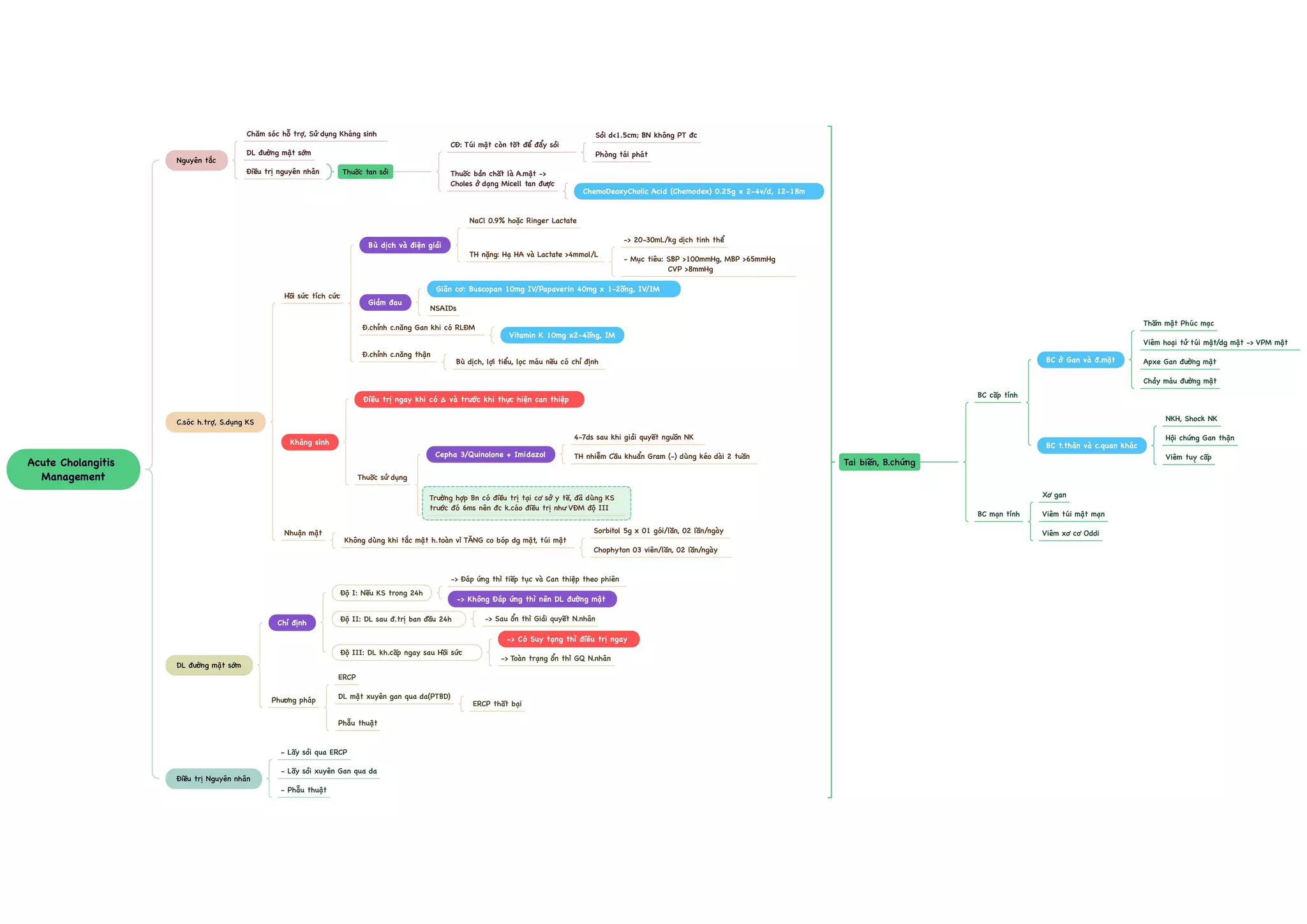 Mindmap Đề cương Nội khoa Y4-Y6 [Tiếng Việt]. | PDF | Free Download