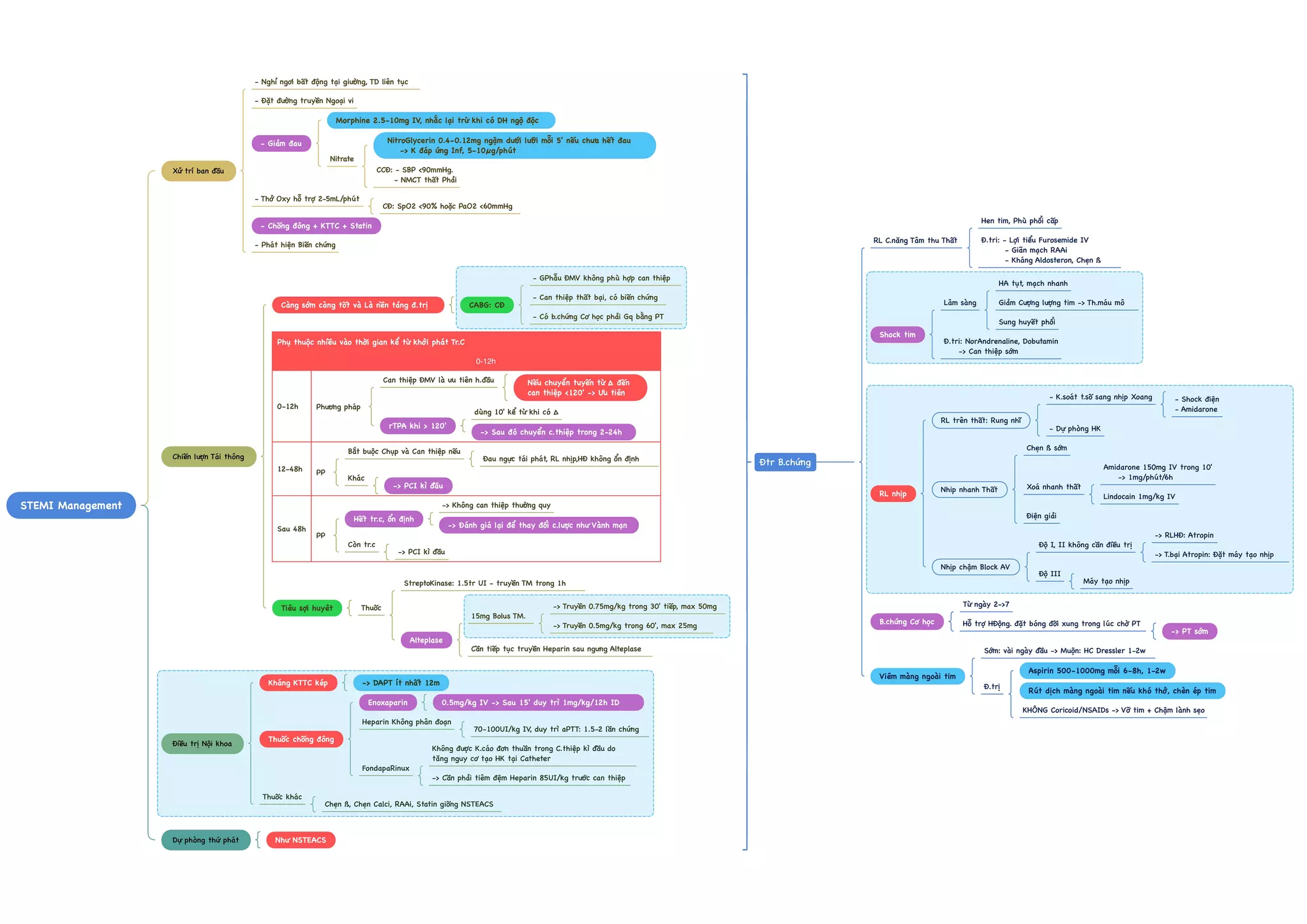 Mindmap Đề cương Nội khoa Y4-Y6 [Tiếng Việt]. | PDF