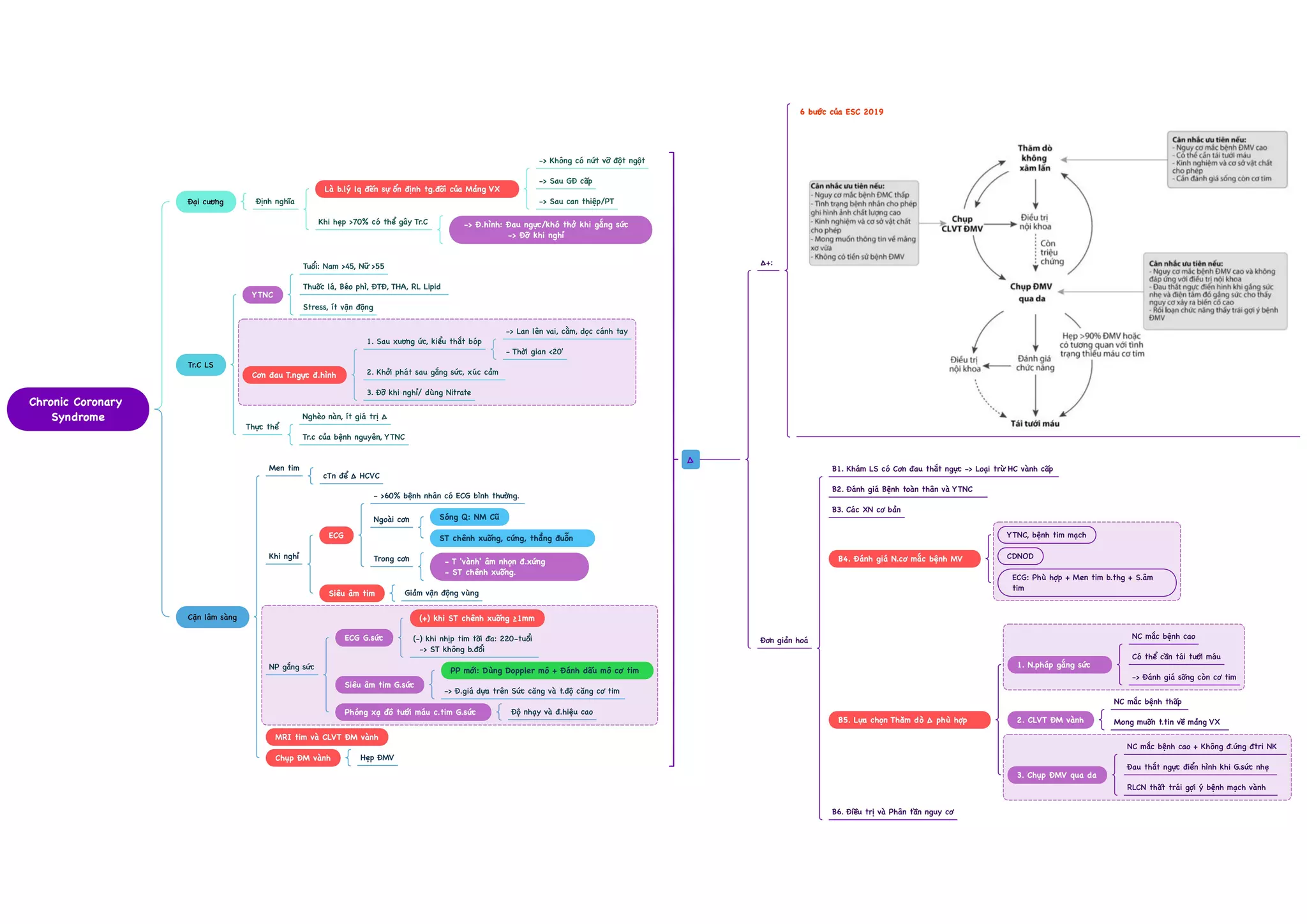 Mindmap Đề cương Nội khoa Y4-Y6 [Tiếng Việt]. | PDF