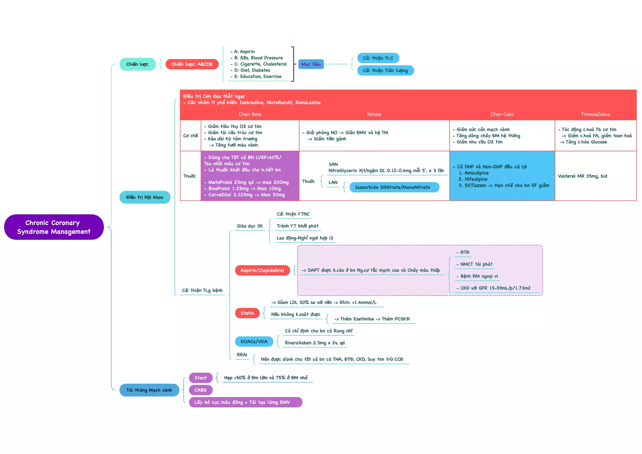 Mindmap Đề cương Nội khoa Y4-Y6 [Tiếng Việt]. | PDF