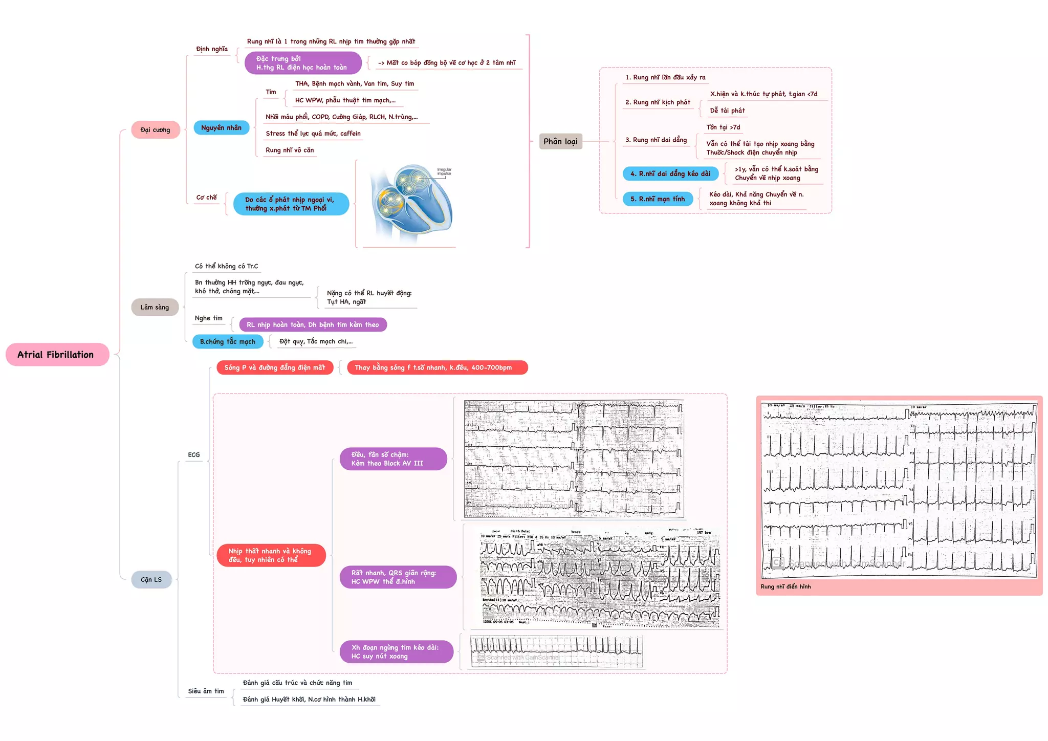 Mindmap Đề cương Nội khoa Y4-Y6 [Tiếng Việt]. | PDF