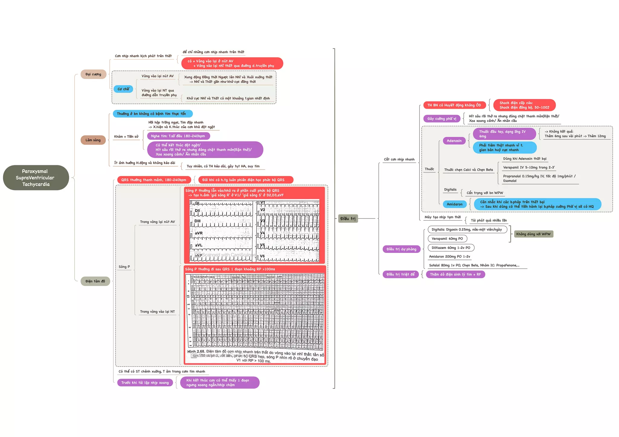 Mindmap Đề cương Nội khoa Y4-Y6 [Tiếng Việt]. | PDF