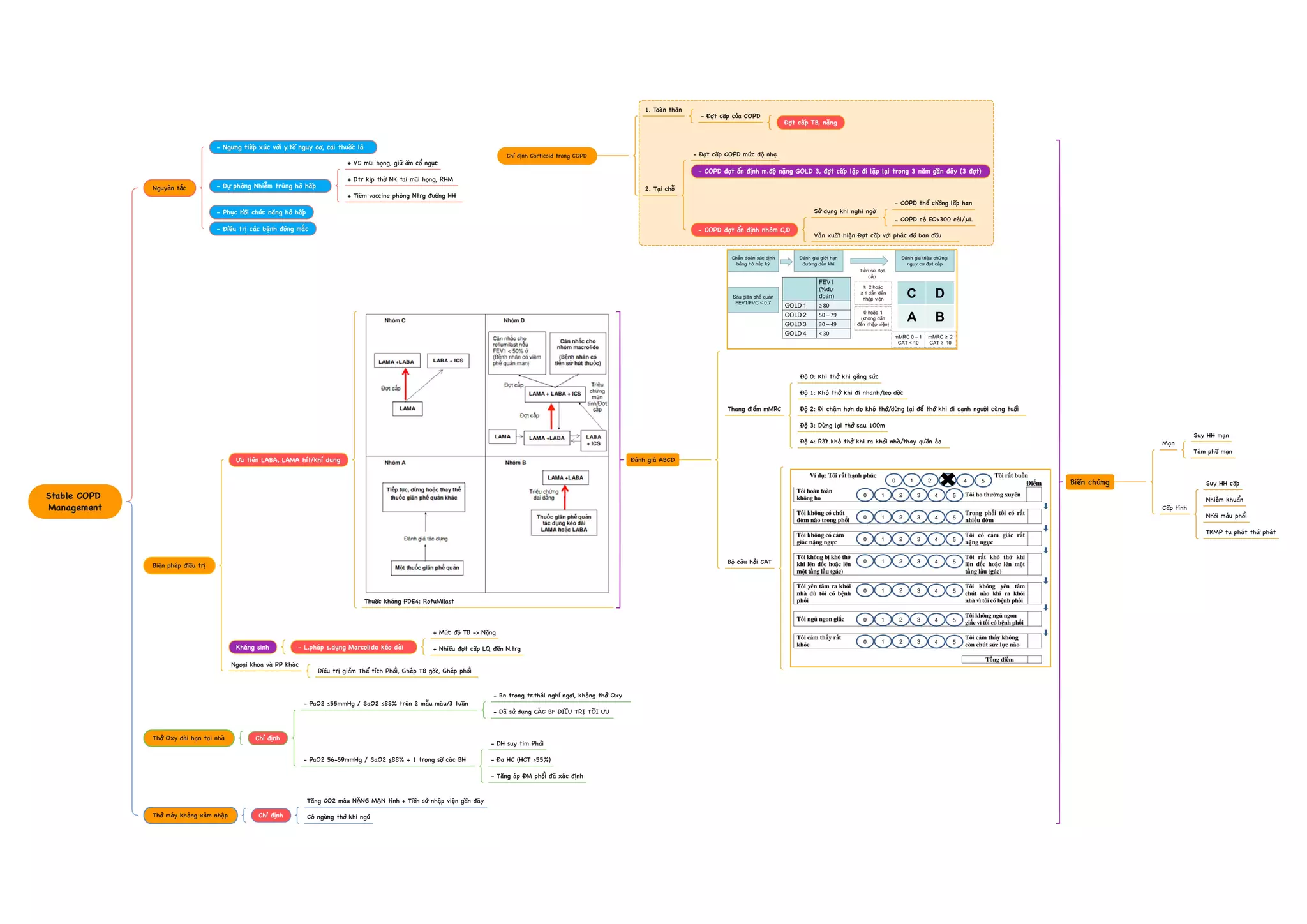 Mindmap Đề cương Nội khoa Y4-Y6 [Tiếng Việt]. | PDF