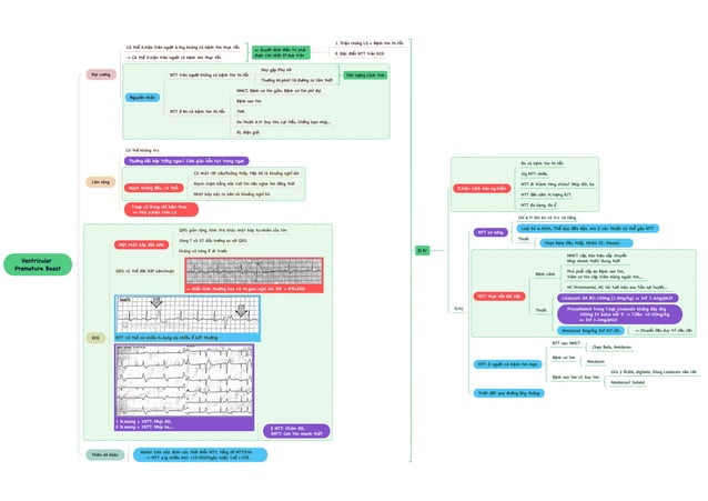 Mindmap Đề cương Nội khoa Y4-Y6 [Tiếng Việt]. | PDF